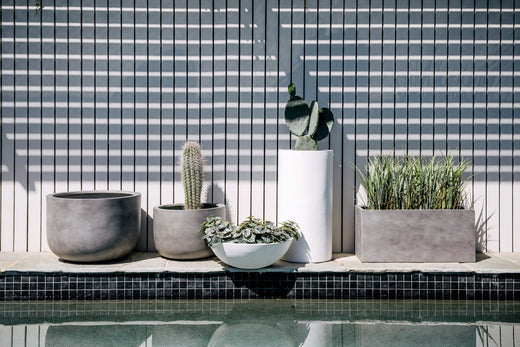 Discover the Best Garden Pots for Your Outdoor Space Today – The ...