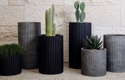 The Best Designer Garden Pots to Elevate Your Outdoor Space – The ...