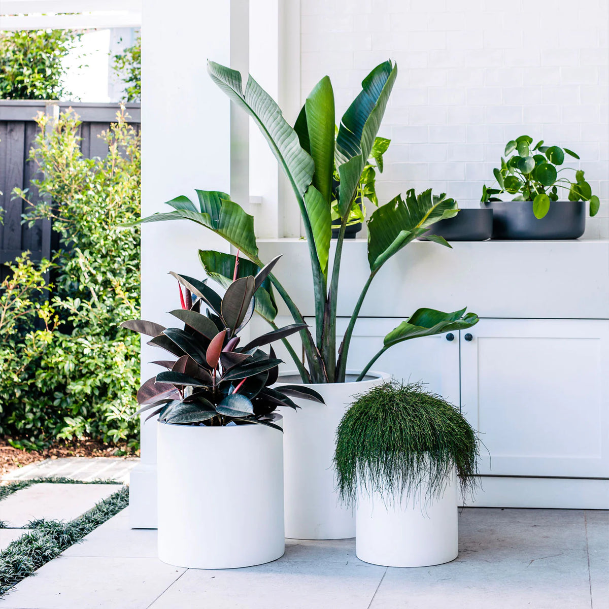 Willow Range – The Balcony Garden EU